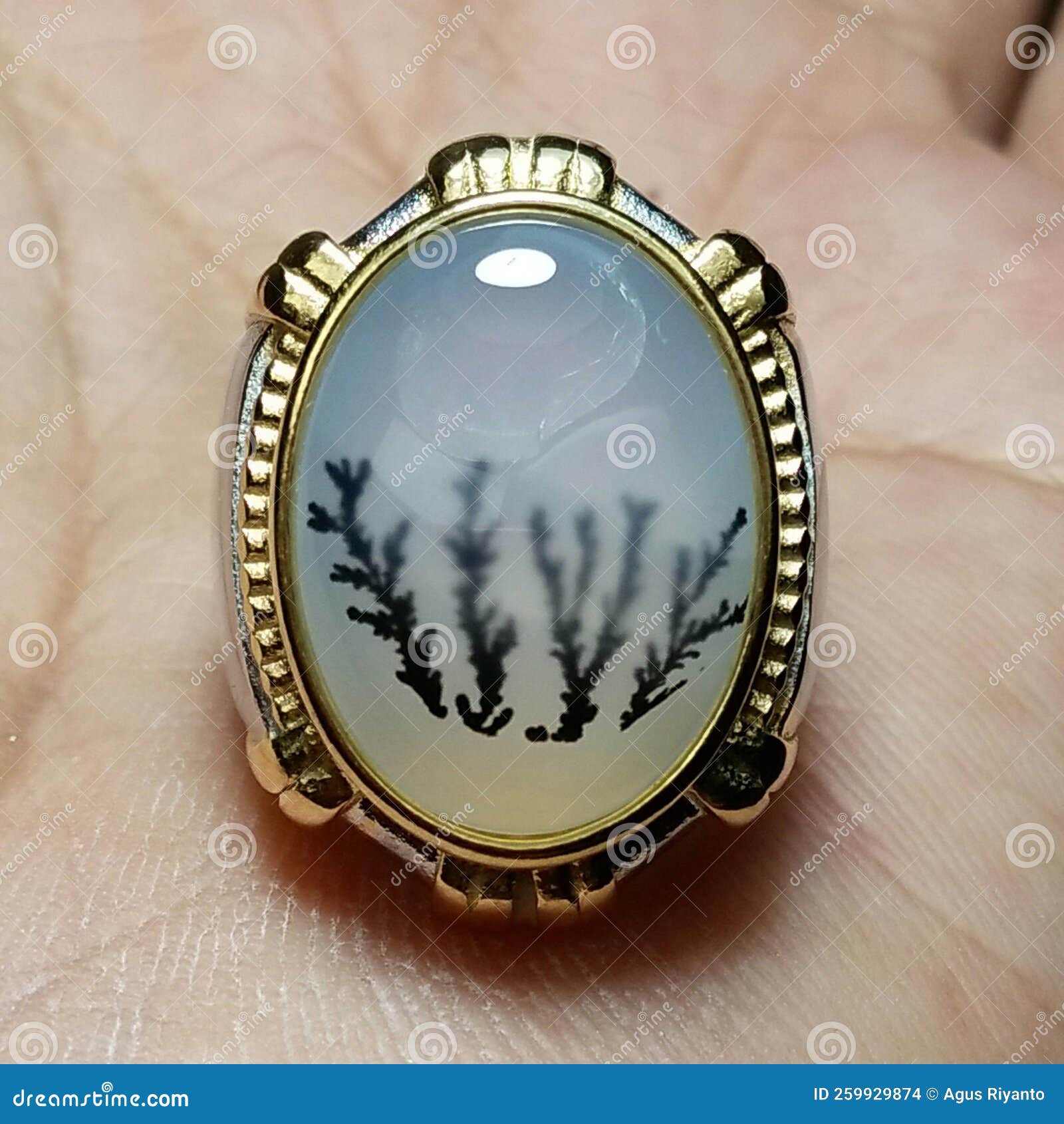 Dendritic Agate Stone stock photo. Image of ring, bead - 259929874