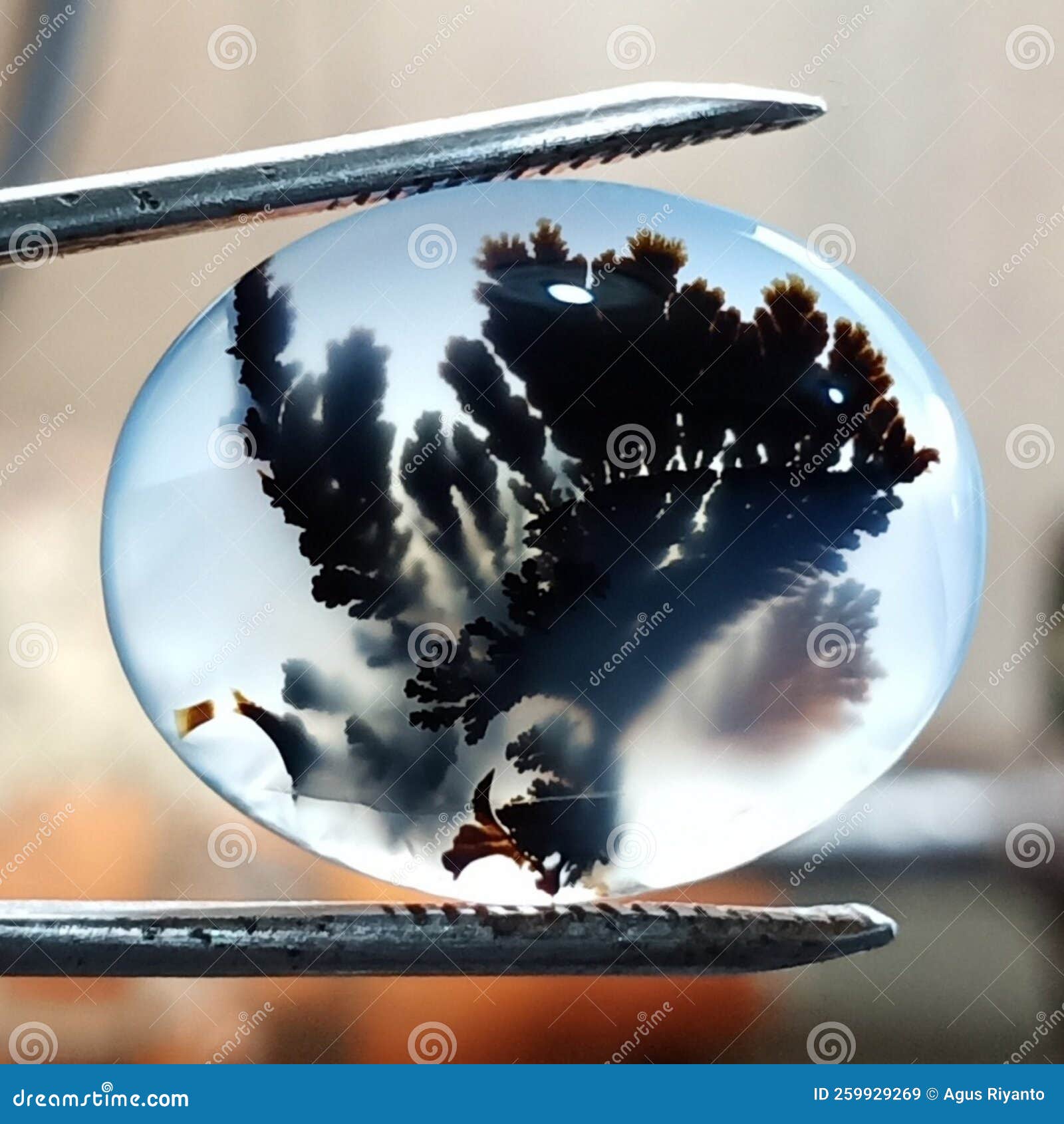 Dendritic Agate Stone - Loostone Stock Image - Image of light, lighting ...