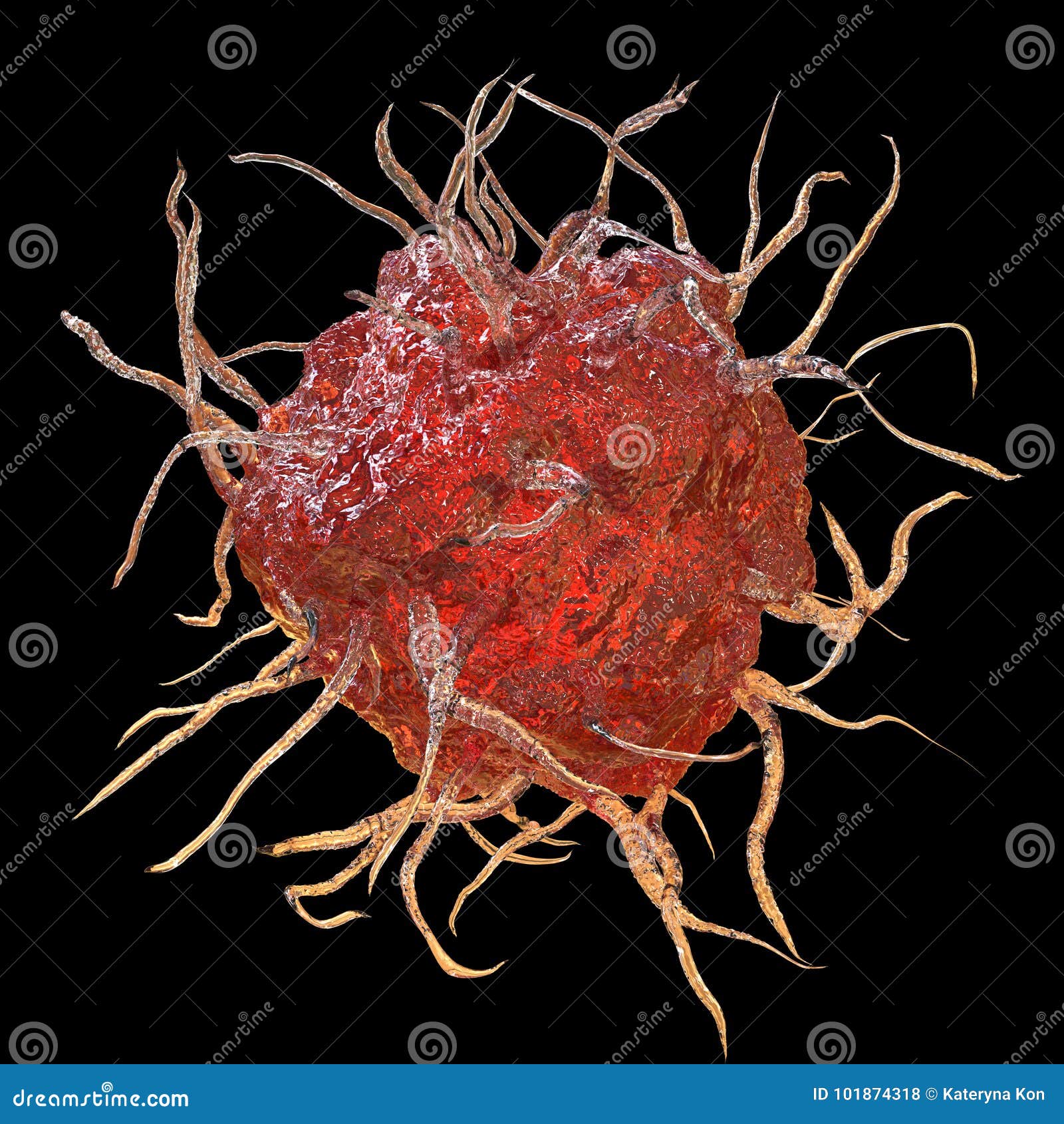Dendritic Cell Presenting Antigen To T-cell Royalty-Free Illustration ...