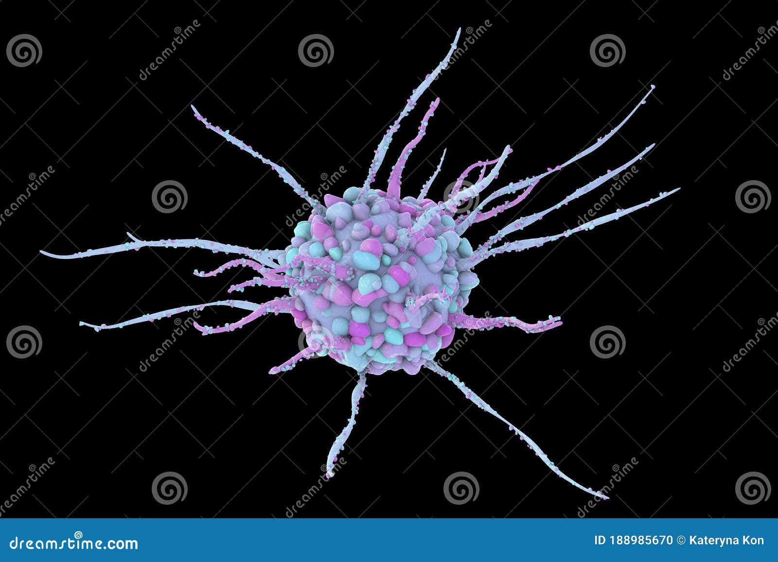A Dendritic Cell Interacting With A T Cell Stock Illustration ...