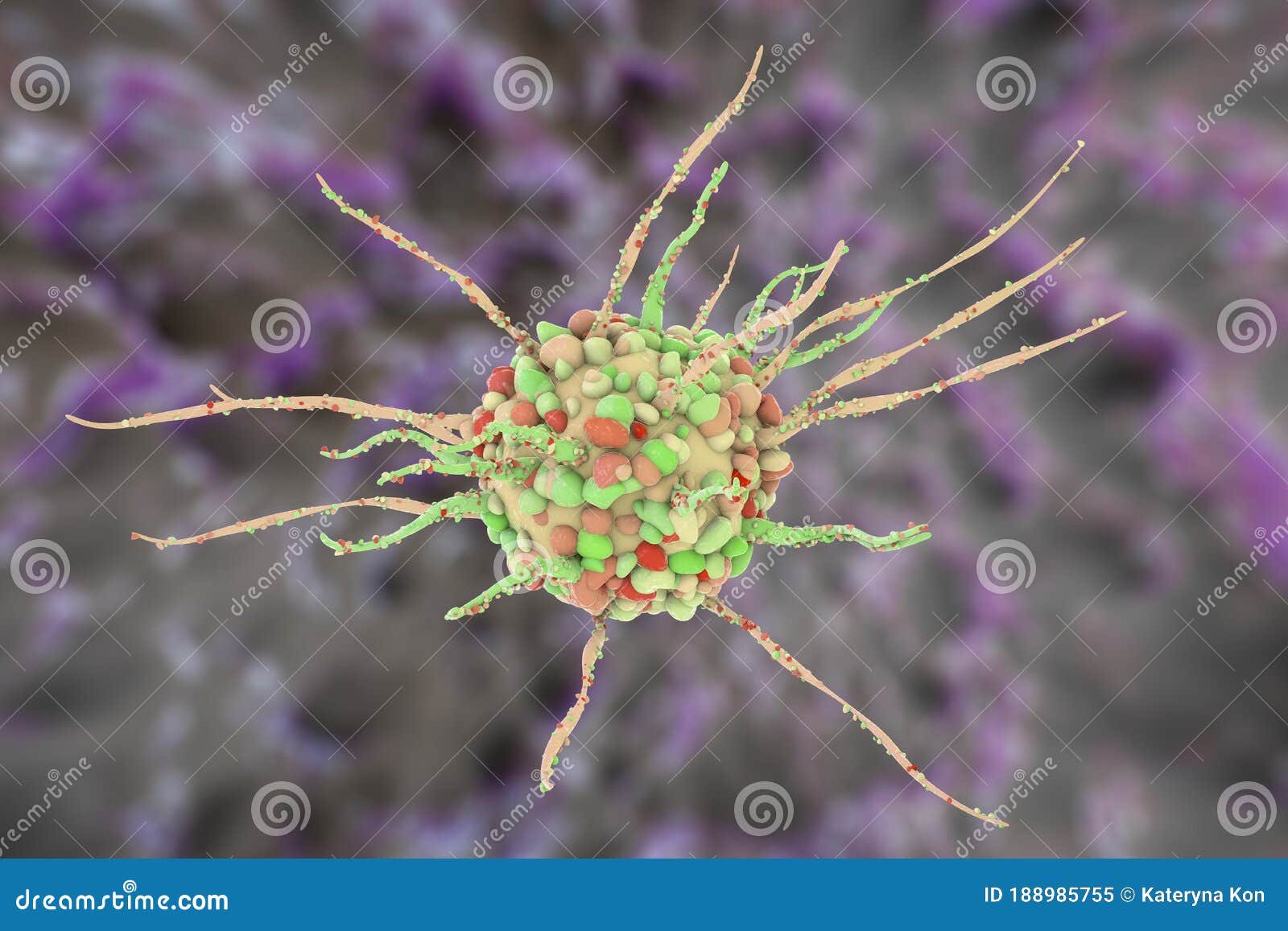 Antigen-presenting Cell Vector Illustration | CartoonDealer.com #38958826