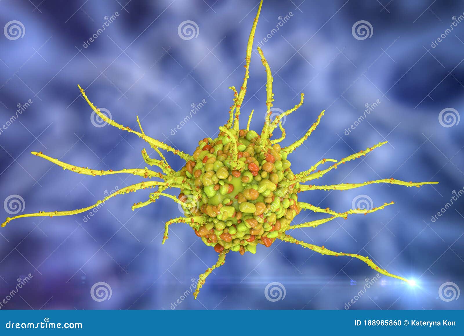 Antigen-presenting Cell Vector Illustration | CartoonDealer.com #38958826