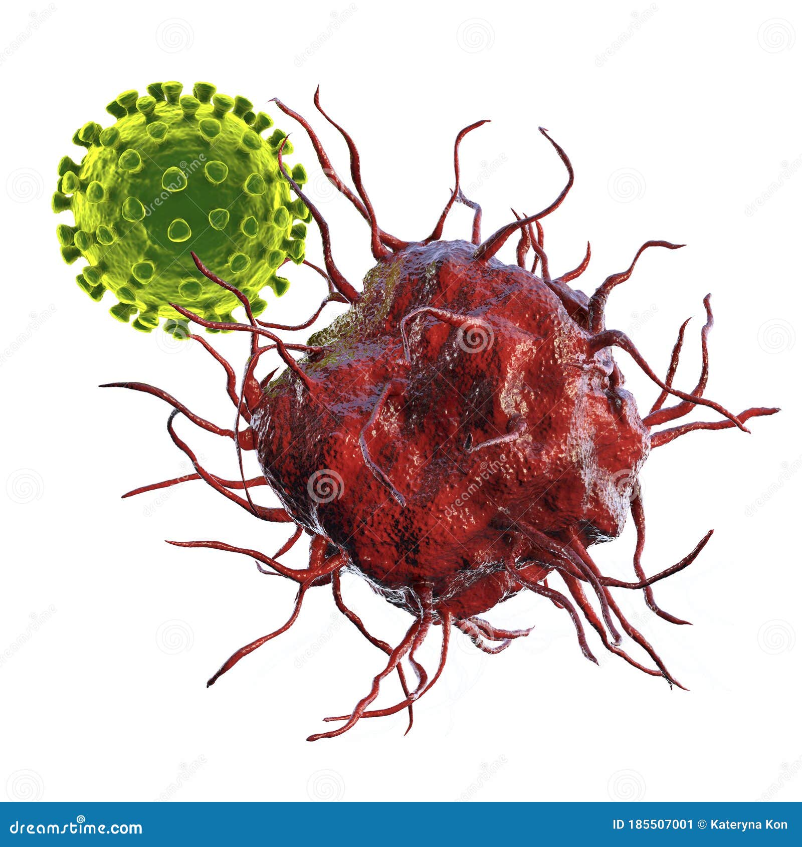 Dendritic Cell Attacking Virus Royalty-Free Illustration ...