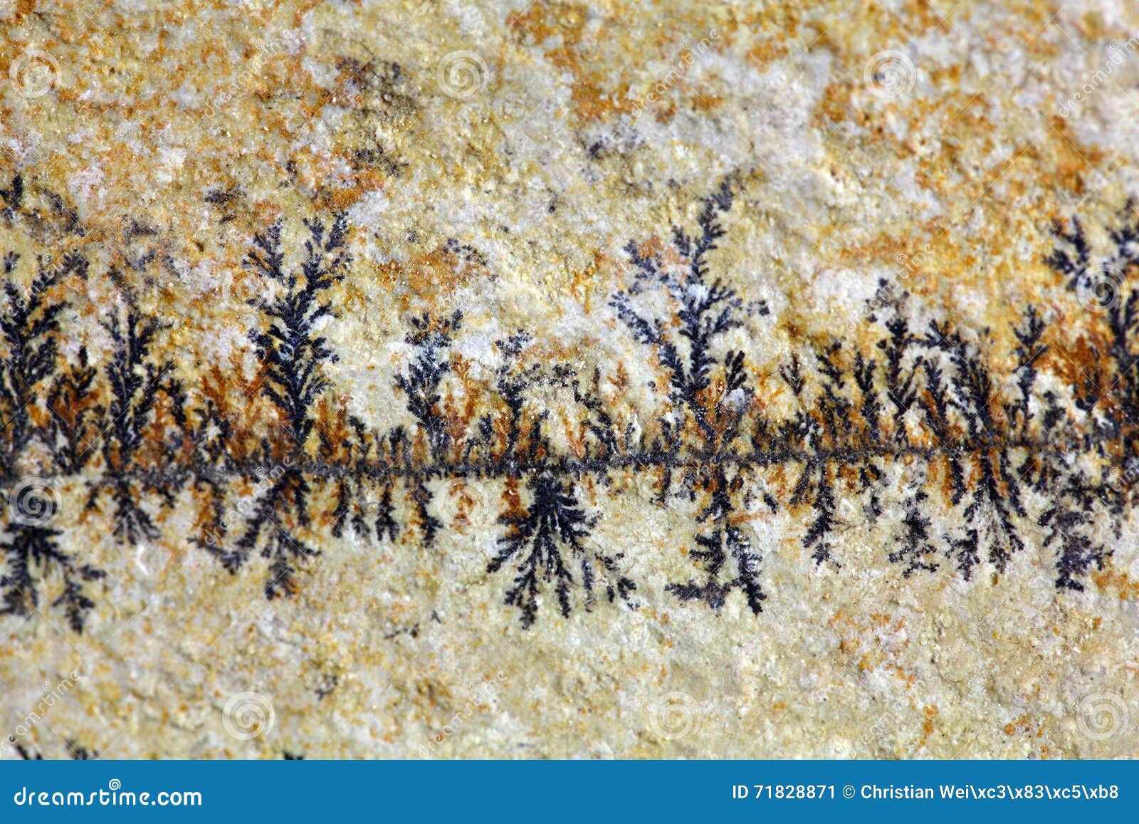 Dendritic Minerals of Iron- and Manganese Oxides Stock Image - Image of ...