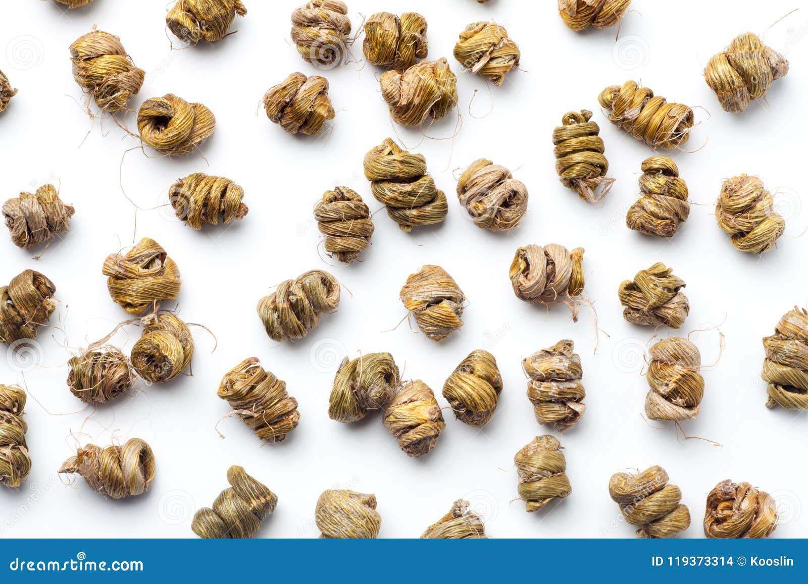 Dendrobium Candidum En Un Fondo Blanco Foto de archivo - Imagen de ...