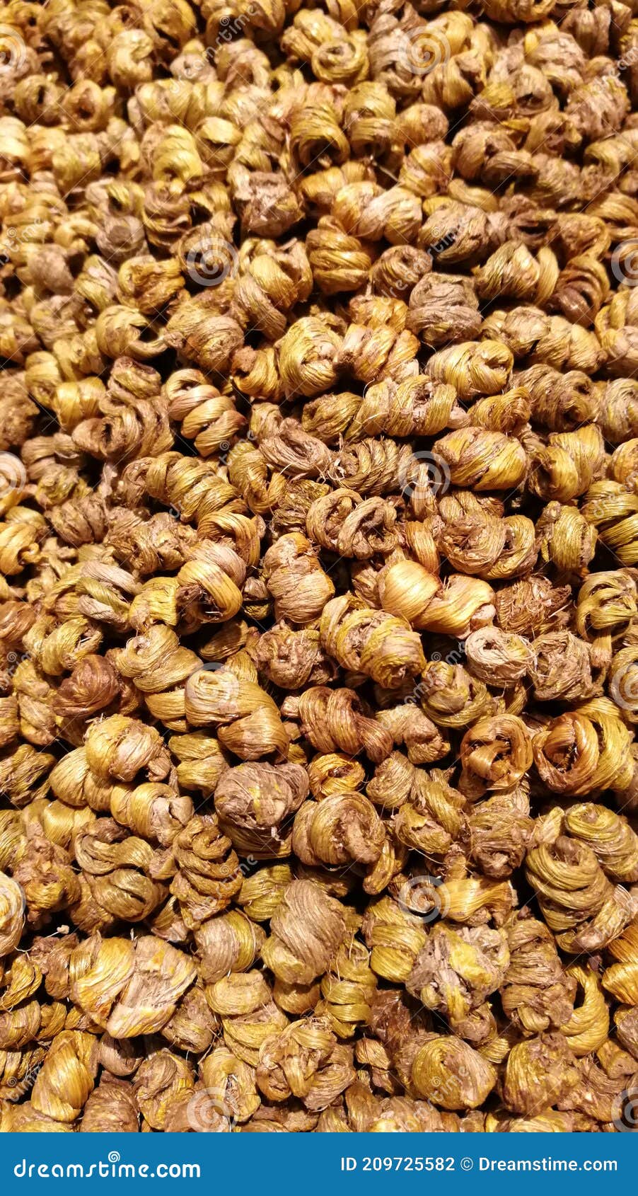 Dendrobium stock photo. Image of medicine, herb, food - 209725582