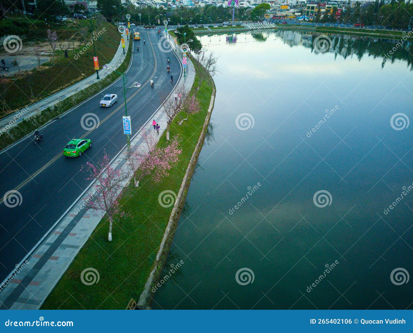 Dendrobium,Dendrobium Orchid,Dancing-Doll Orchid Flowers Editorial ...