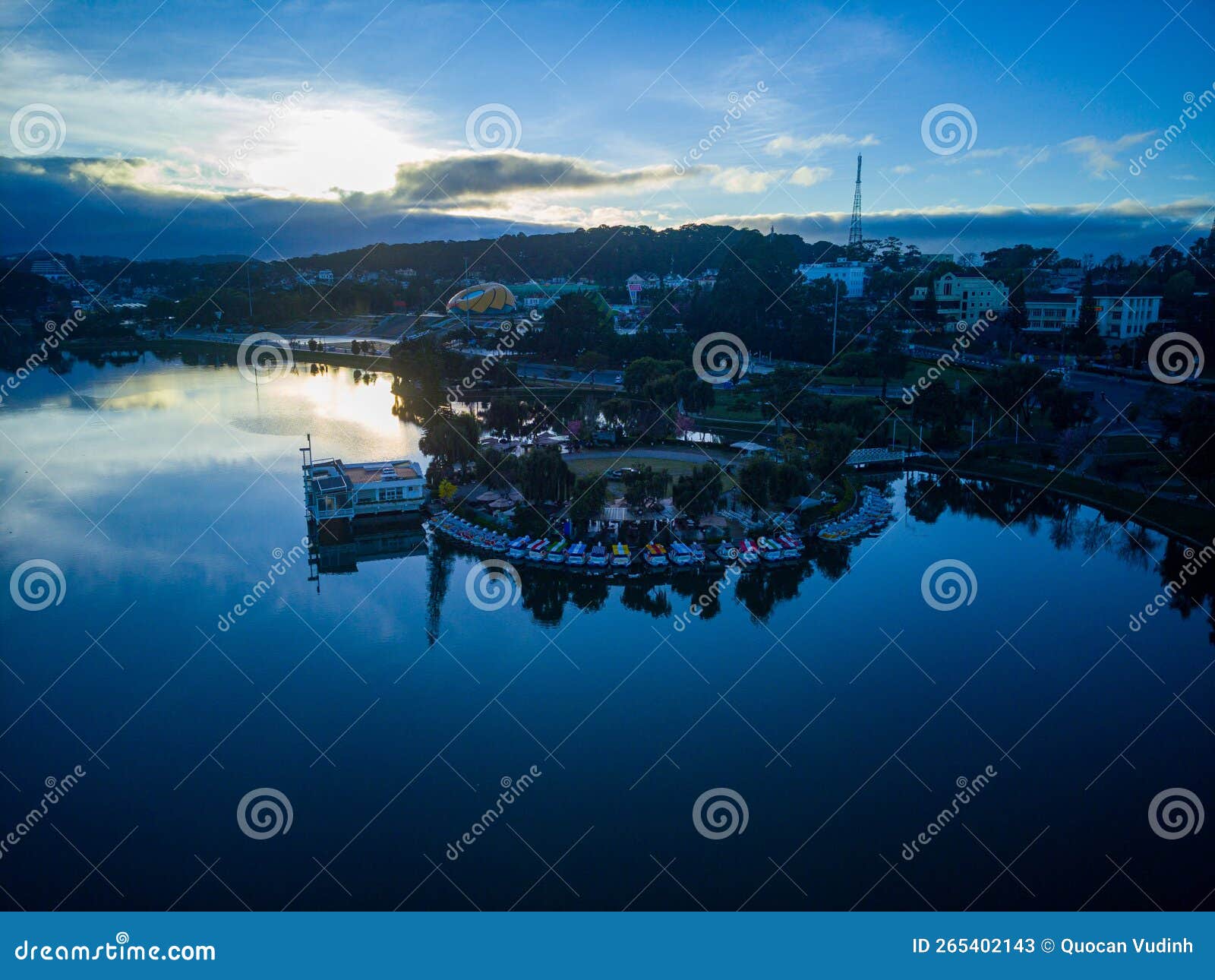 Dendrobium,Dendrobium Orchid,Dancing-Doll Orchid Flowers Stock Image ...