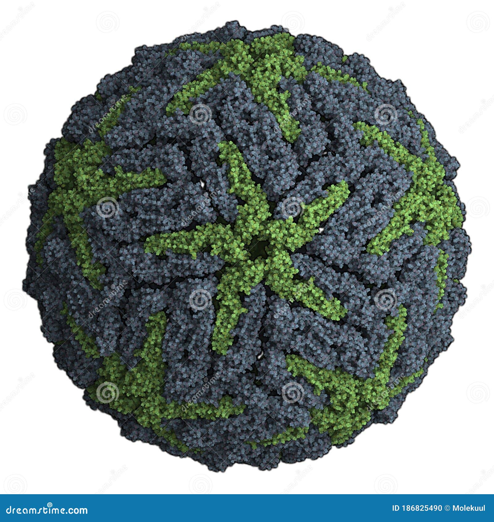 Dengue Virus. Causes Dengue Fever Breakbone Fever. Atomic-level ...