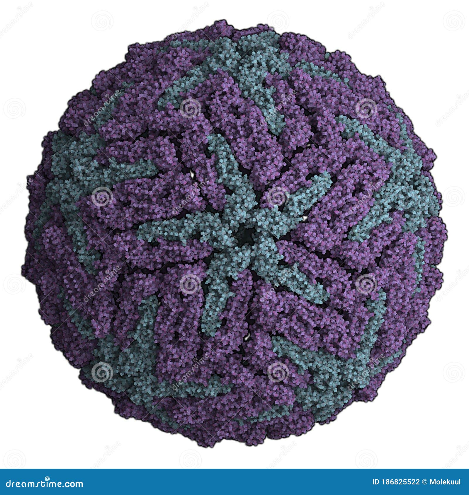 Dengue Virus. Causes Dengue Fever Breakbone Fever. Atomic-level ...