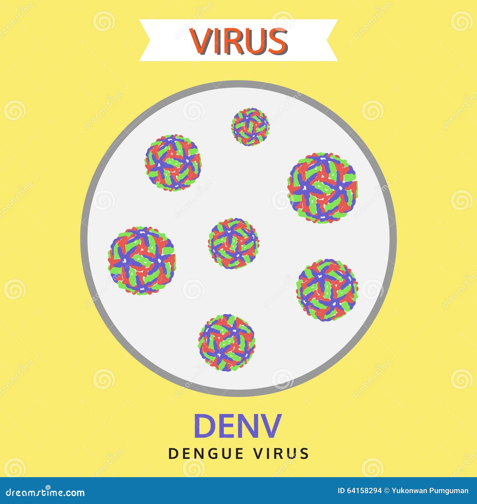 Dengue Virus, Denv Virus, Vector Stock Vector - Illustration of info ...