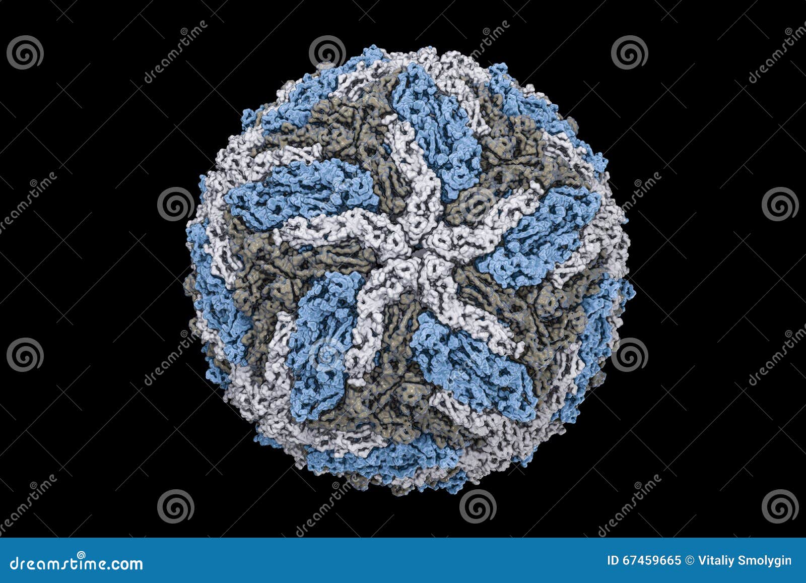 Dengue Virus Digital Image Structure. Stock Illustration - Illustration ...