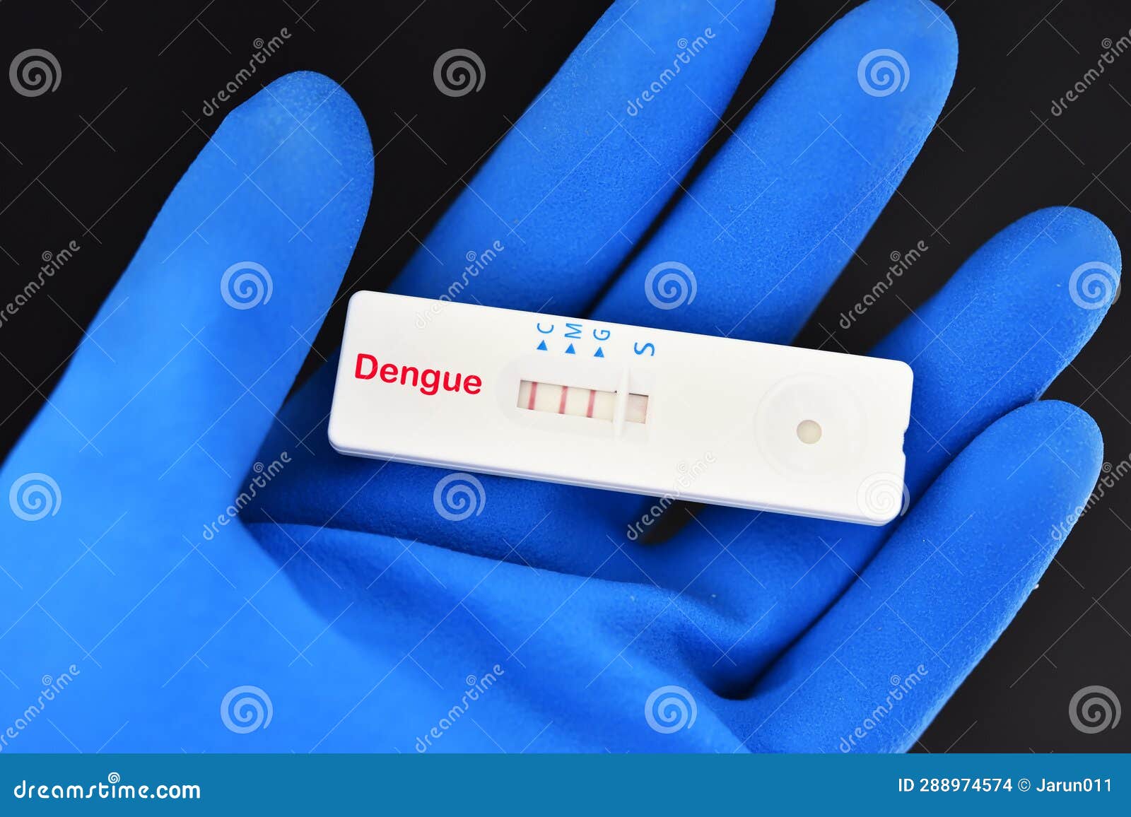 Dengue virus positive test stock photo. Image of result - 288974574