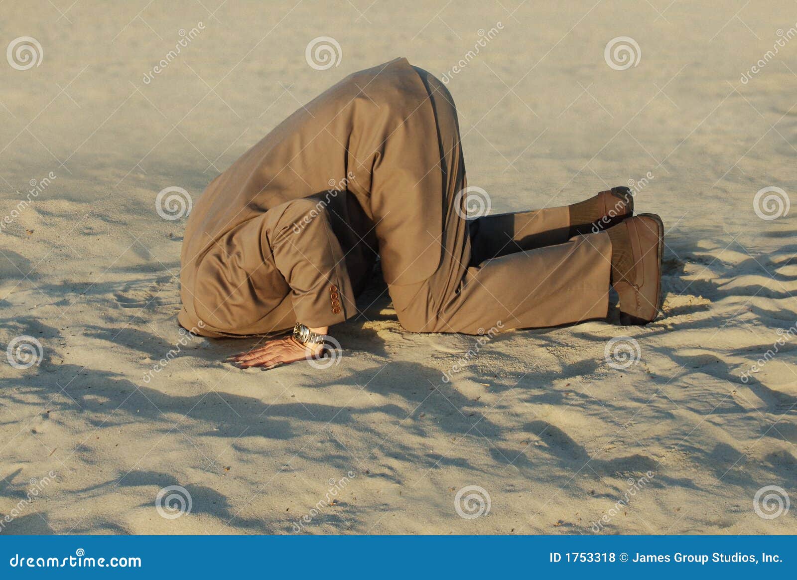 Denial stock photo. Image of scared, wimp, spineless, ostrich - 1753318