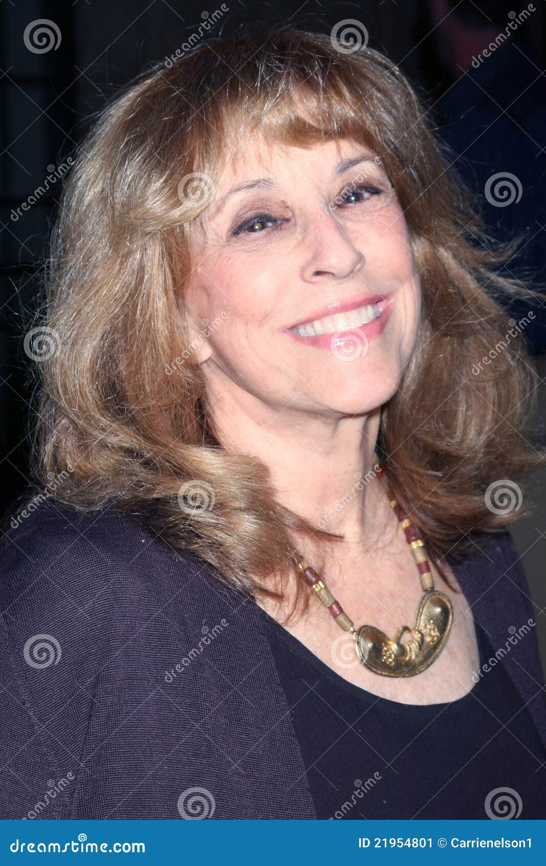 Denise Alexander editorial photo. Image of pretty, season - 21954801