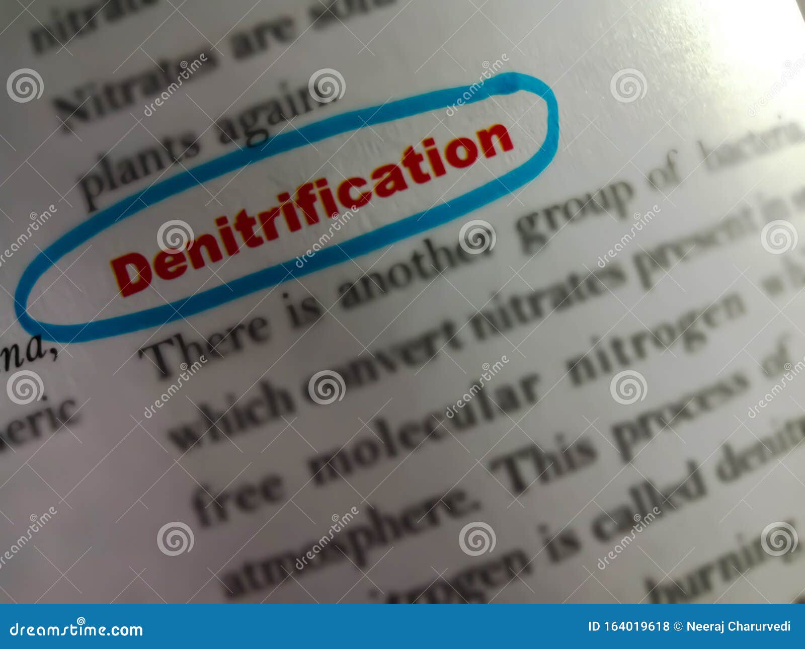 Denitrification Science Related Terminology Displayed on White Paper ...