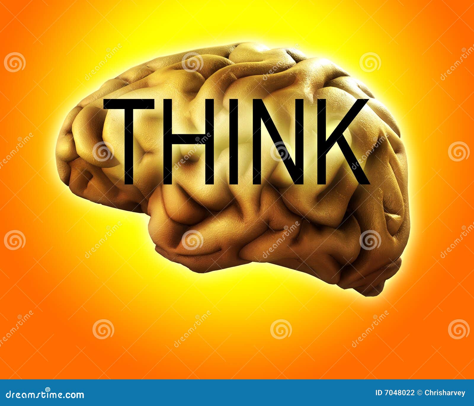 Denken Sie Mit Ihrem Gehirn Stock Abbildung - Illustration von biologie ...