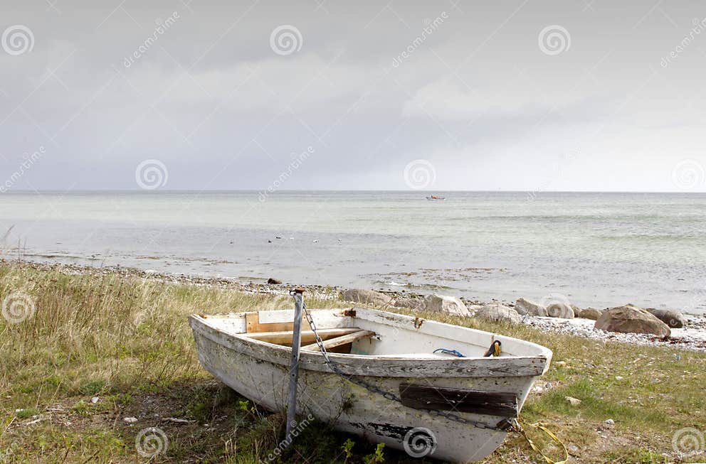 Denmark at Beach stock photo. Image of dune, branch, barefoot - 57995788