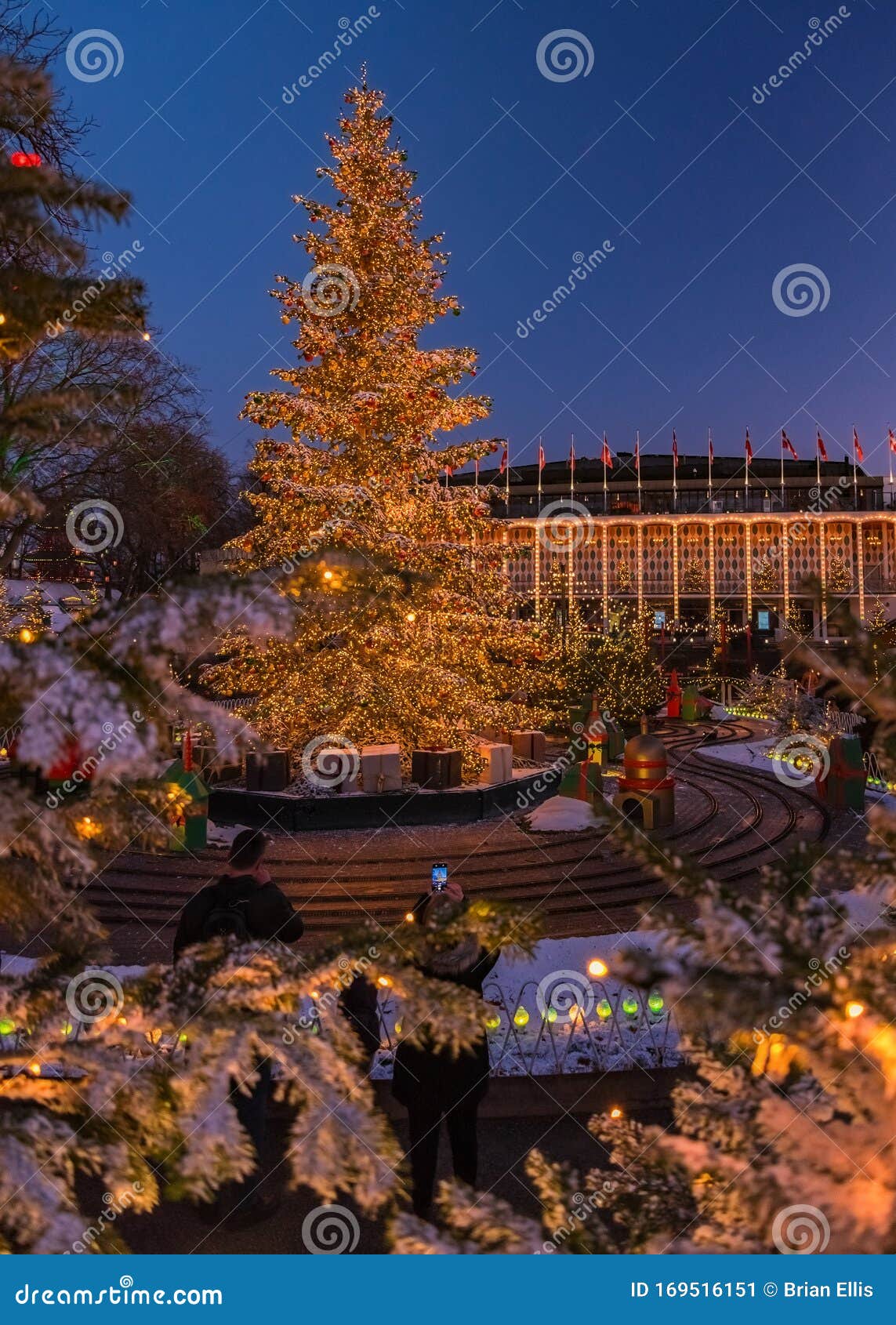 Denmark - Christmas Tree All Lit Up - Copenhagen Editorial Photo ...