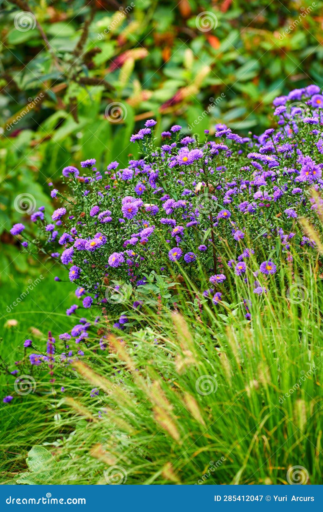 Denmark Nature, Countryside and Environment. Nature in the Kingdom of ...