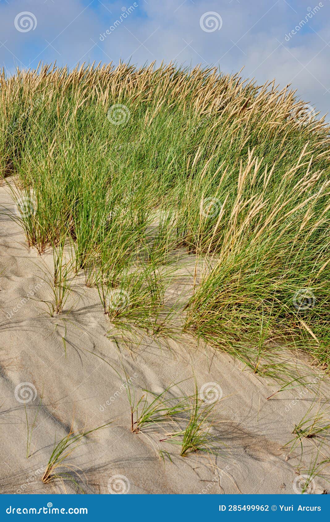 Denmark Nature, Countryside and Environment. Nature in the Kingdom of ...