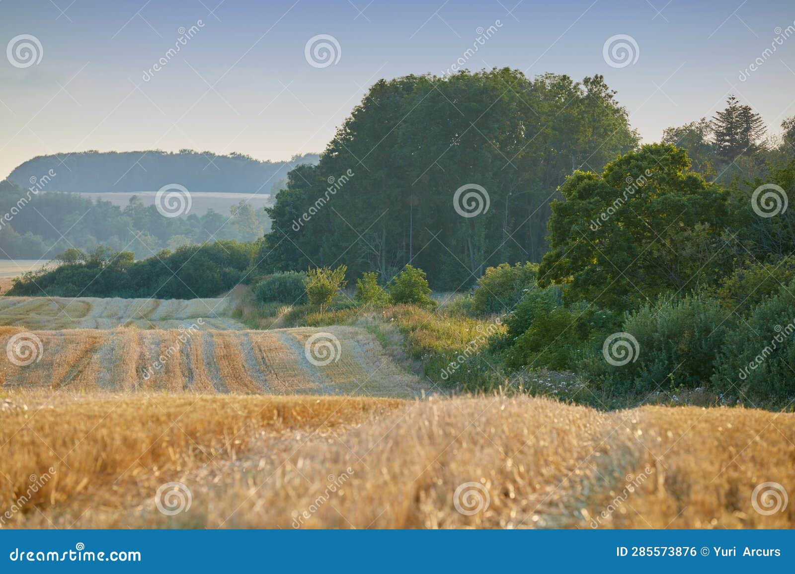Denmark Nature, Countryside and Environment. Nature in the Kingdom of ...