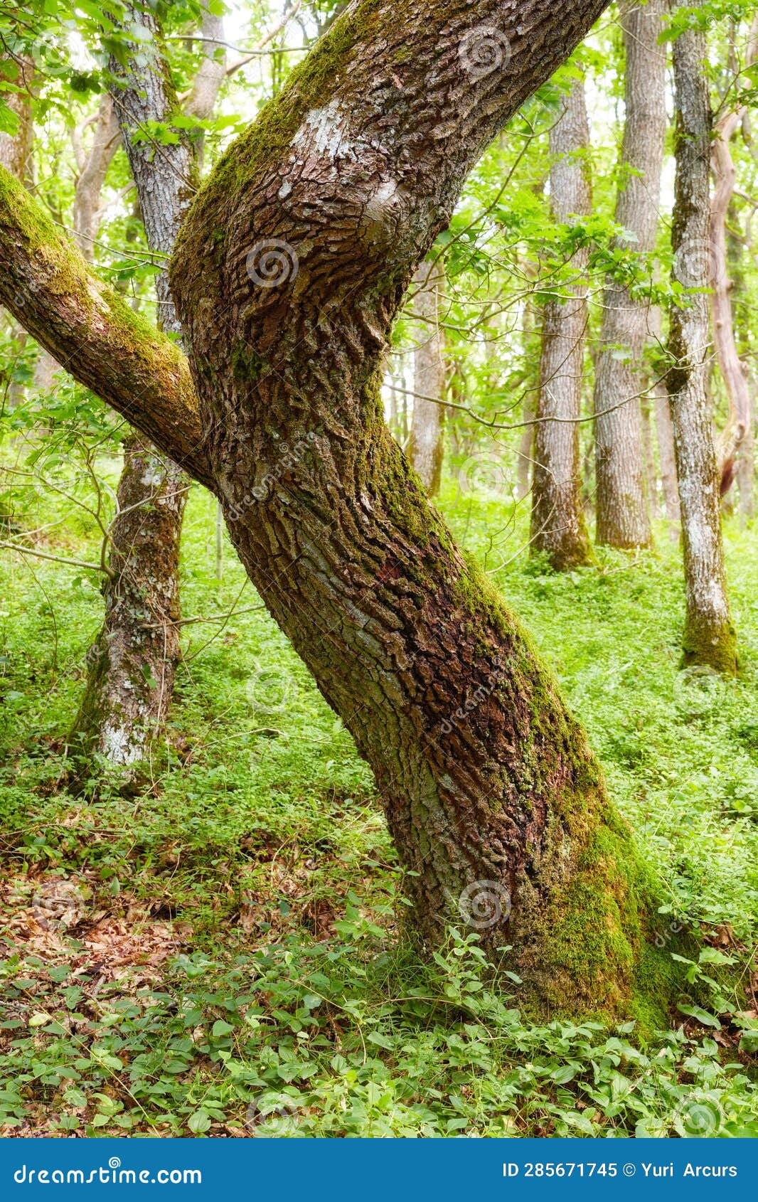 Denmark Nature, Countryside and Environment. Nature in the Kingdom of ...