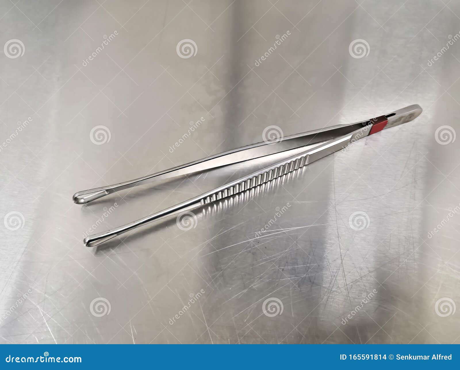 Dissecting Forceps Stock Image | CartoonDealer.com #17511649