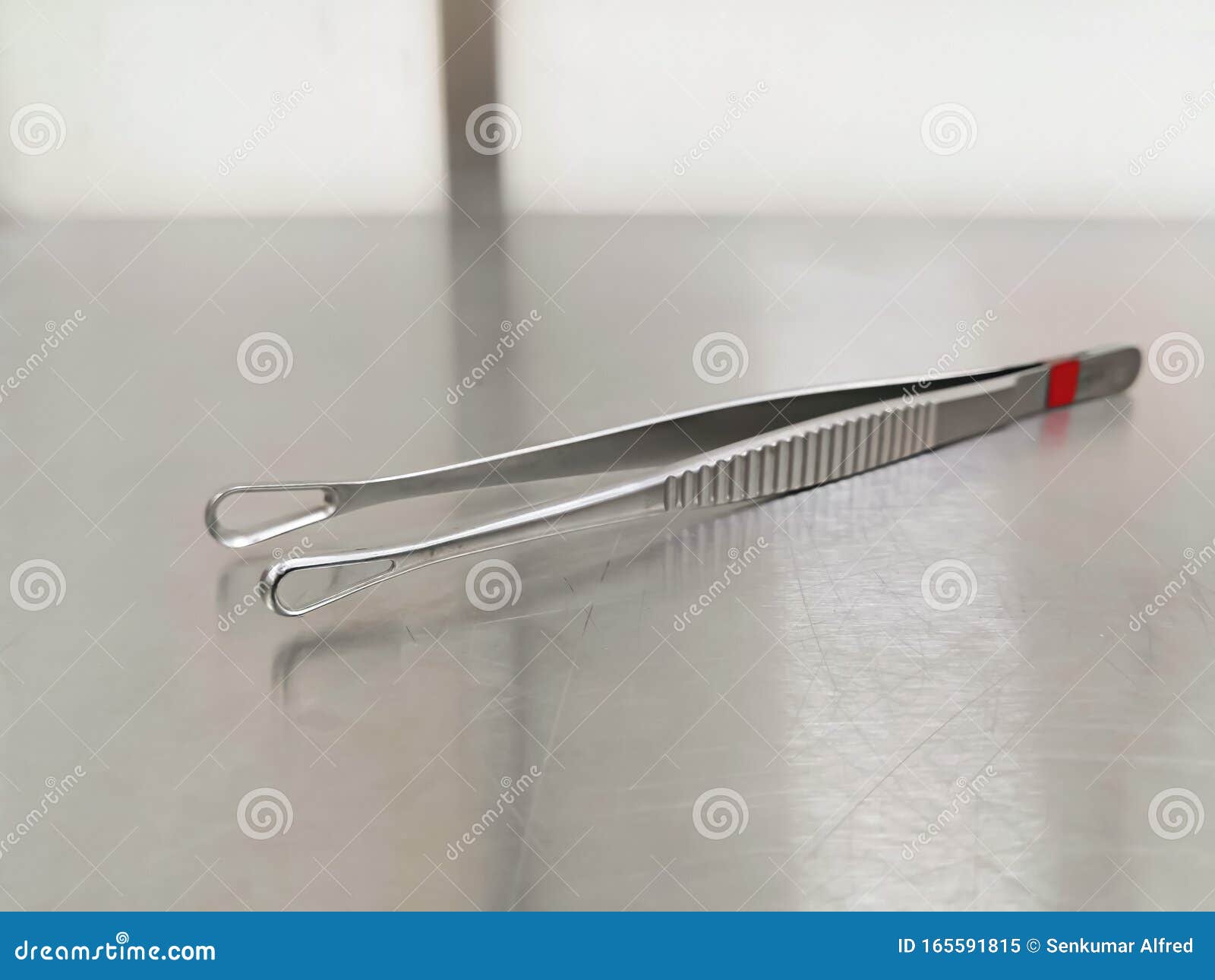 Dennis Brown Dissecting Forceps Stock Image - Image of medical ...