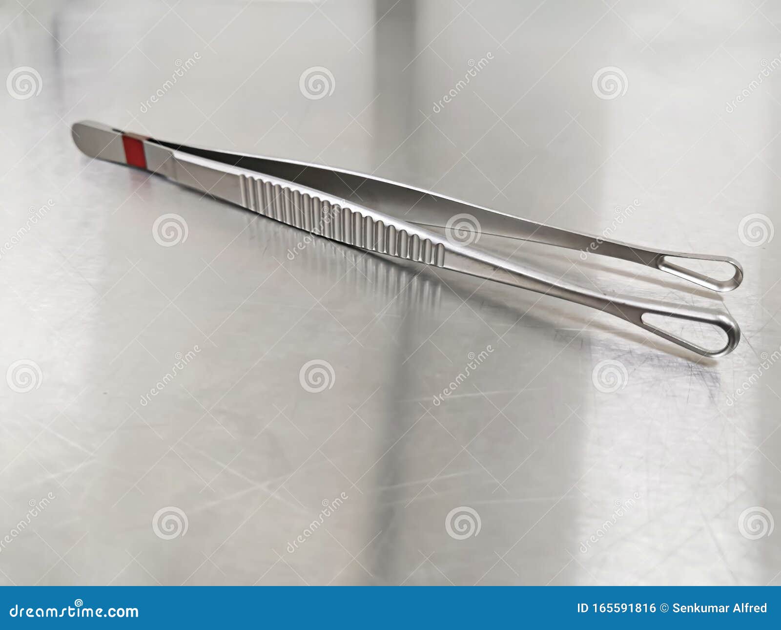 Dennis Brown Dissecting Forceps Stock Photo - Image of intestinal ...
