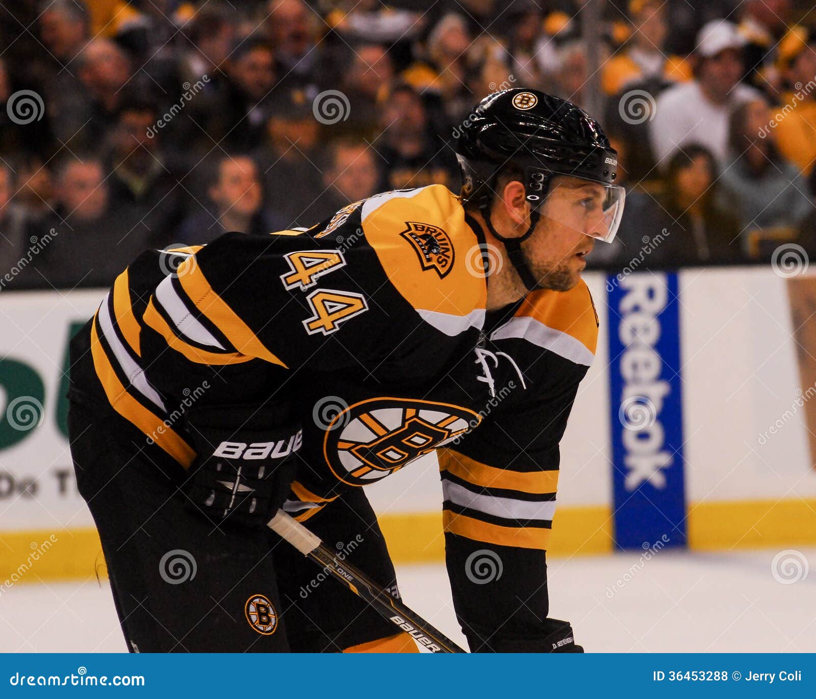 Dennis Seidenberg Boston Bruins Editorial Stock Photo - Image of ...