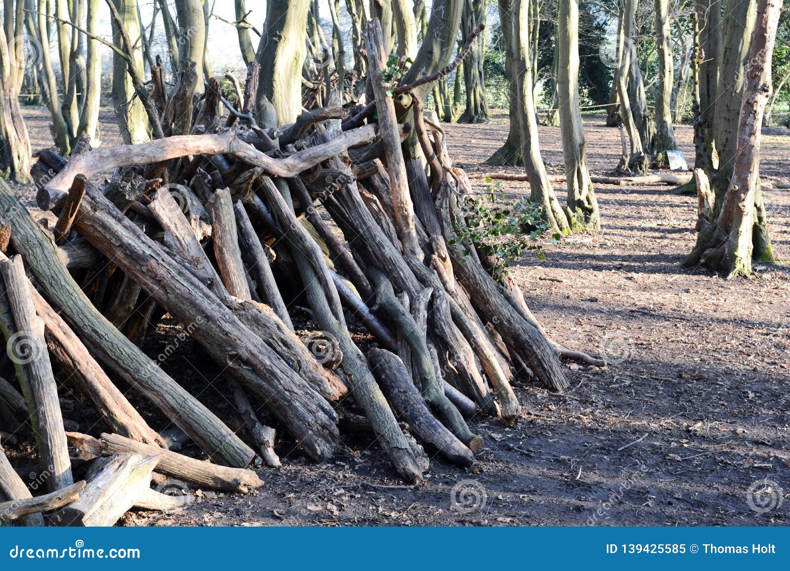Building a den outdoors stock image. Image of camp, nature - 139425585