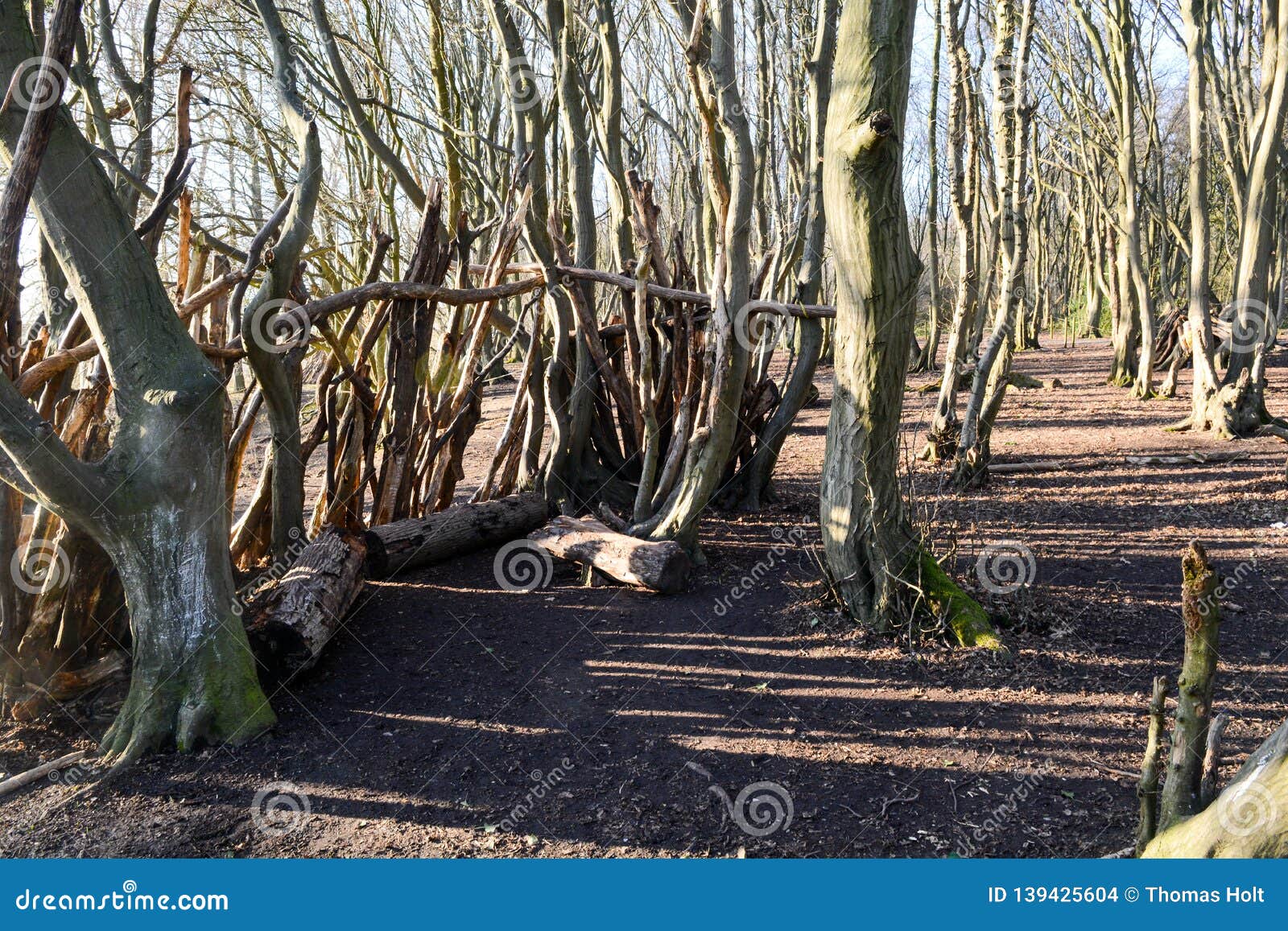 Building a den outdoors stock photo. Image of branches - 139425604