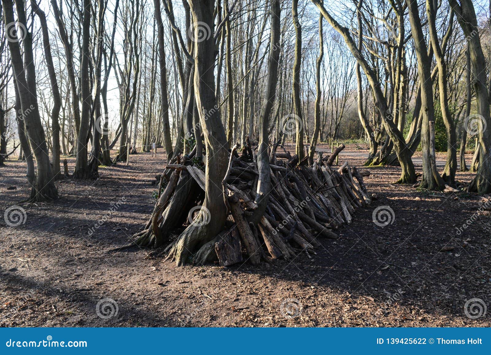 Building a den outdoors stock photo. Image of wooden - 139425622