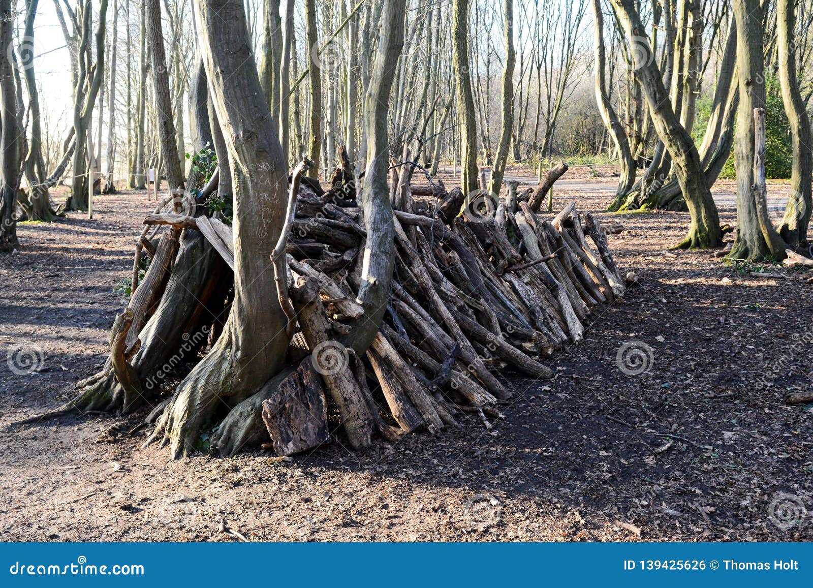 Building a den outdoors stock photo. Image of wood, play - 139425626
