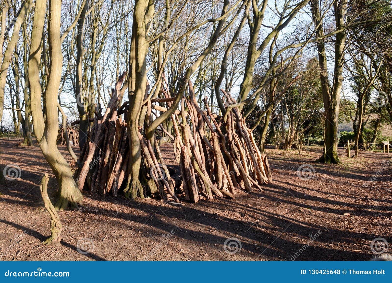 Building a den outdoors stock photo. Image of hide, nature - 139425648