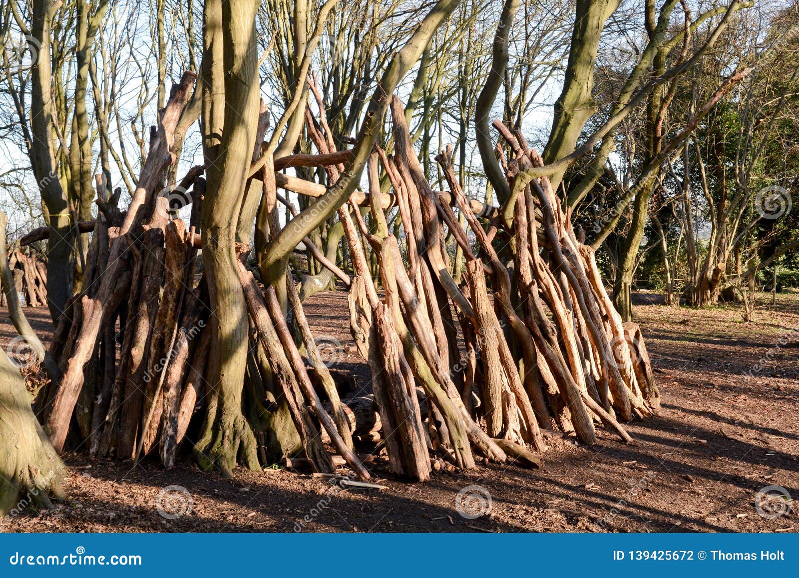 Building a den outdoors stock photo. Image of base, sticks - 139425672