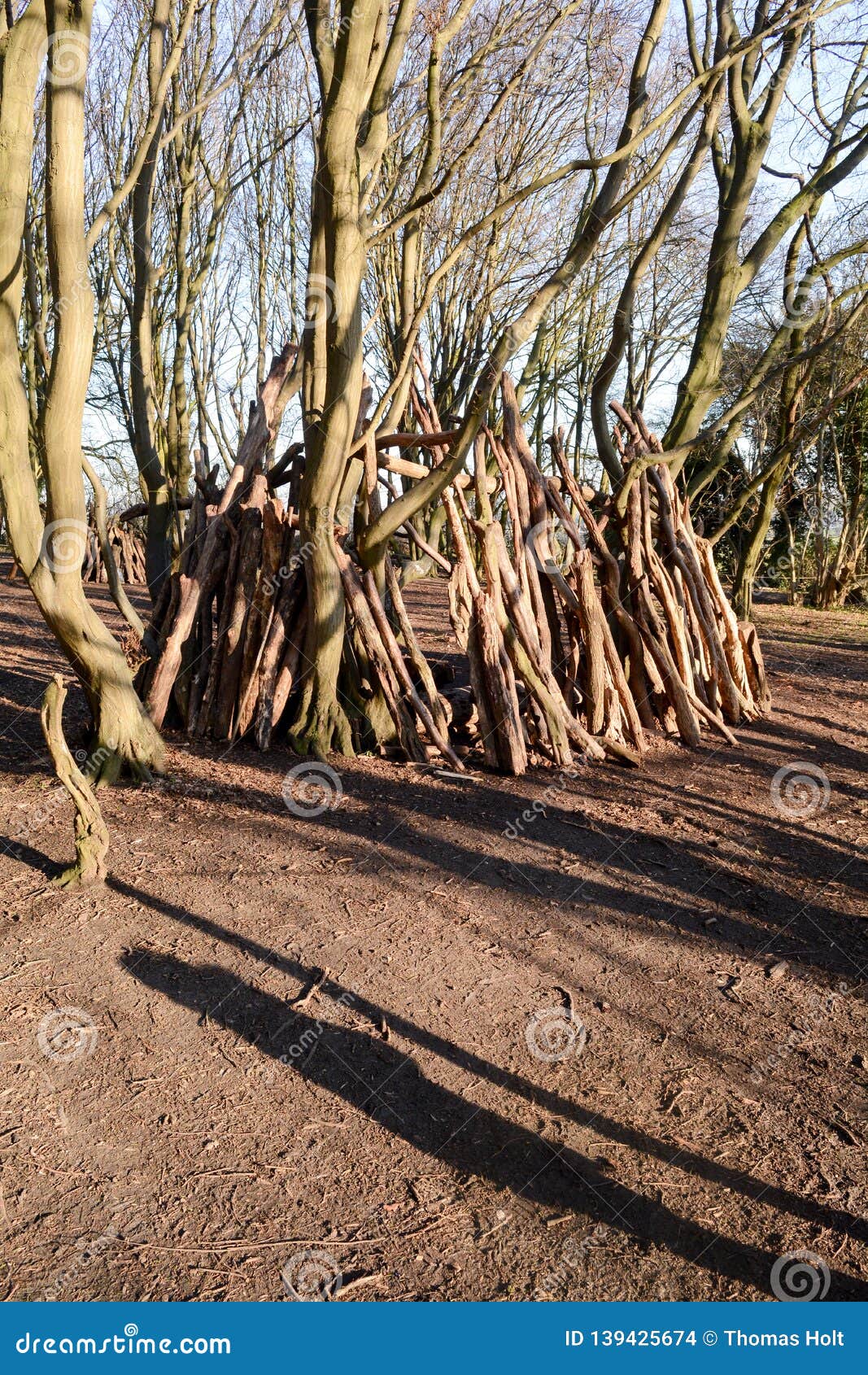 Building a den outdoors stock photo. Image of building - 139425674