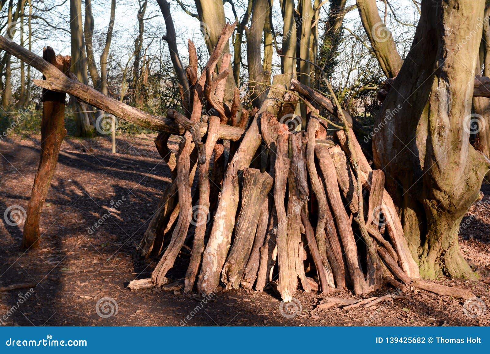Building a den outdoors stock photo. Image of activity - 139425682