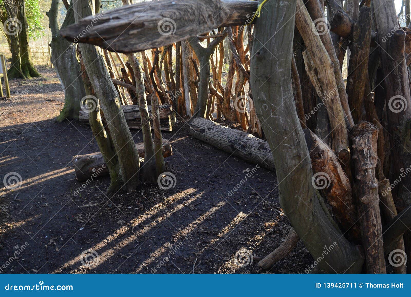 Building a den outdoors stock image. Image of sticks - 139425711