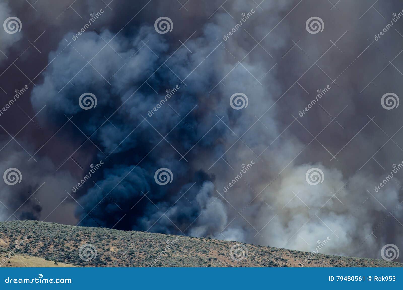 Dense Black Smoke Rising from the Raging Wildfire Stock Image - Image ...