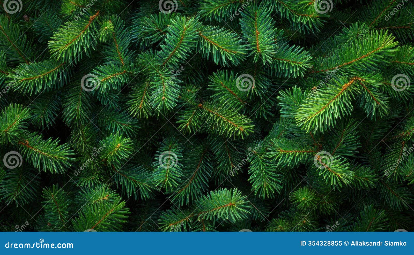 Dense Evergreen Branches Create a Lush Green Background Texture Stock ...