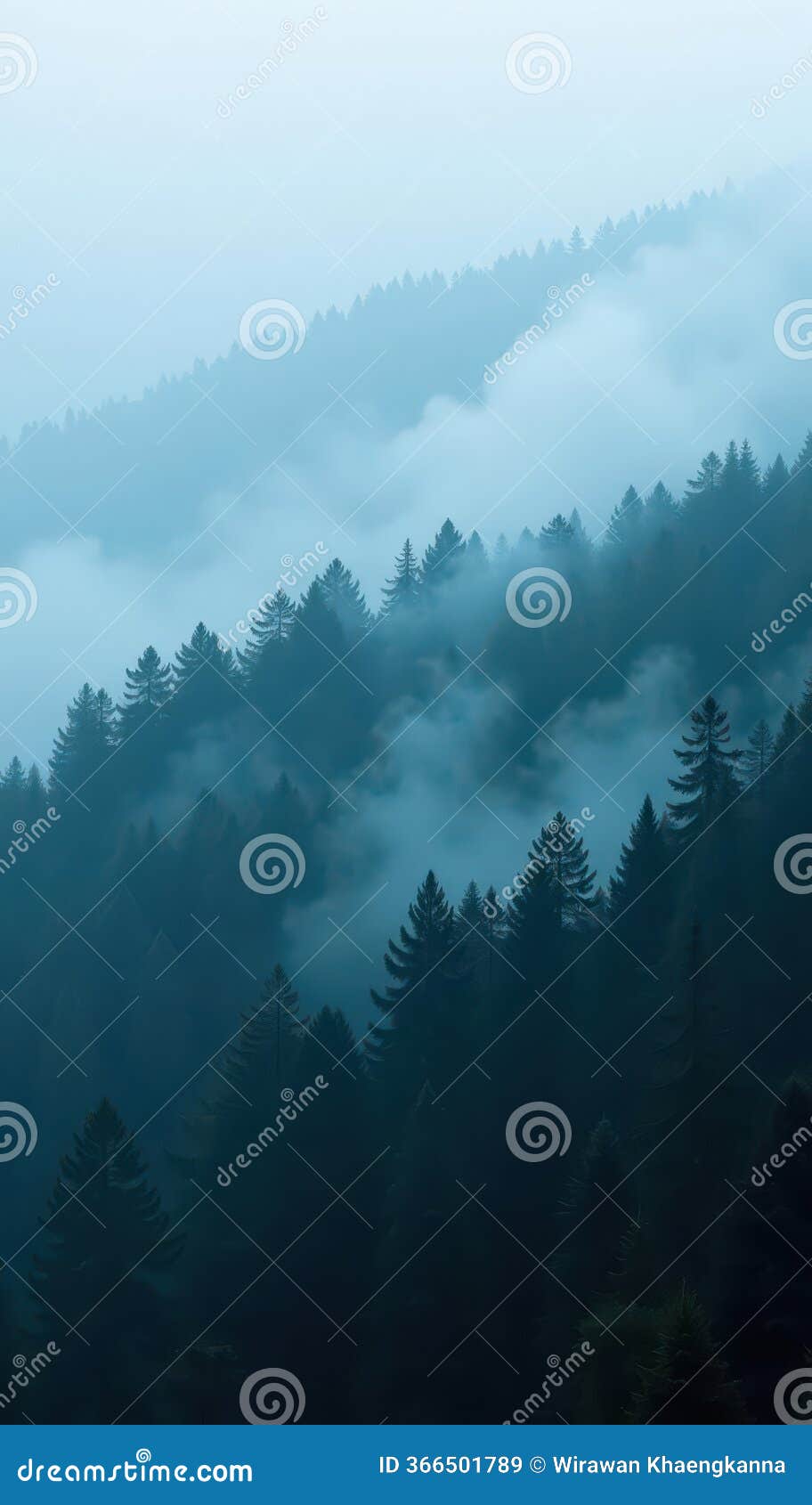 Eerie Fog Envelops A Wooden Platform Surrounded By Misty Trees ...