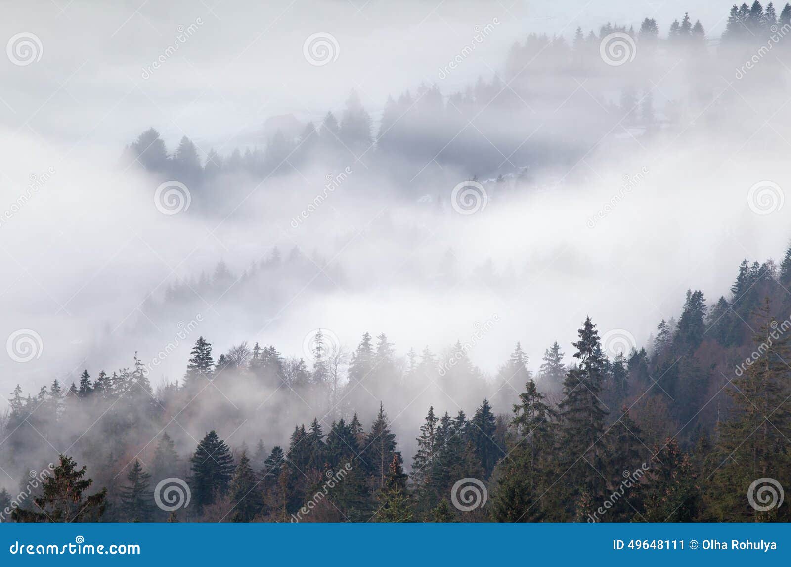 Dense Fog in Mountains, Alps Stock Image - Image of view, travel: 49648111