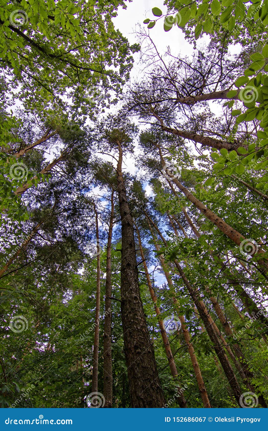 Beautiful nature landscape stock image. Image of nature - 152686067