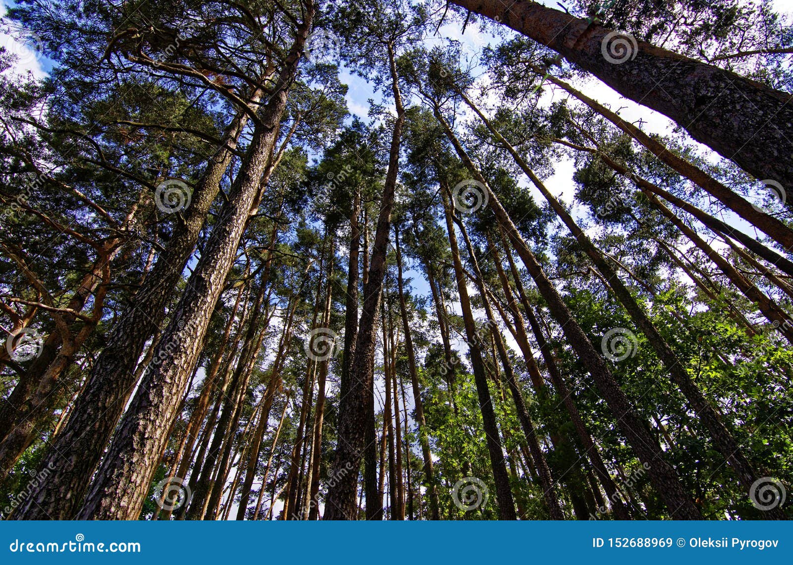 Beautiful nature landscape stock image. Image of green - 152688969