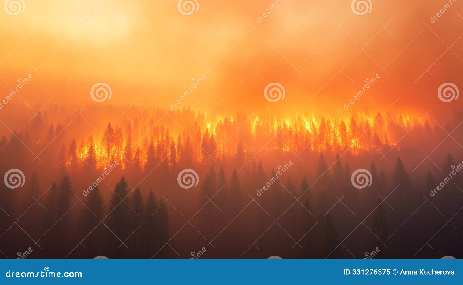 A Dense Forest is Engulfed in a Spreading Wildfire, with Intense Orange ...