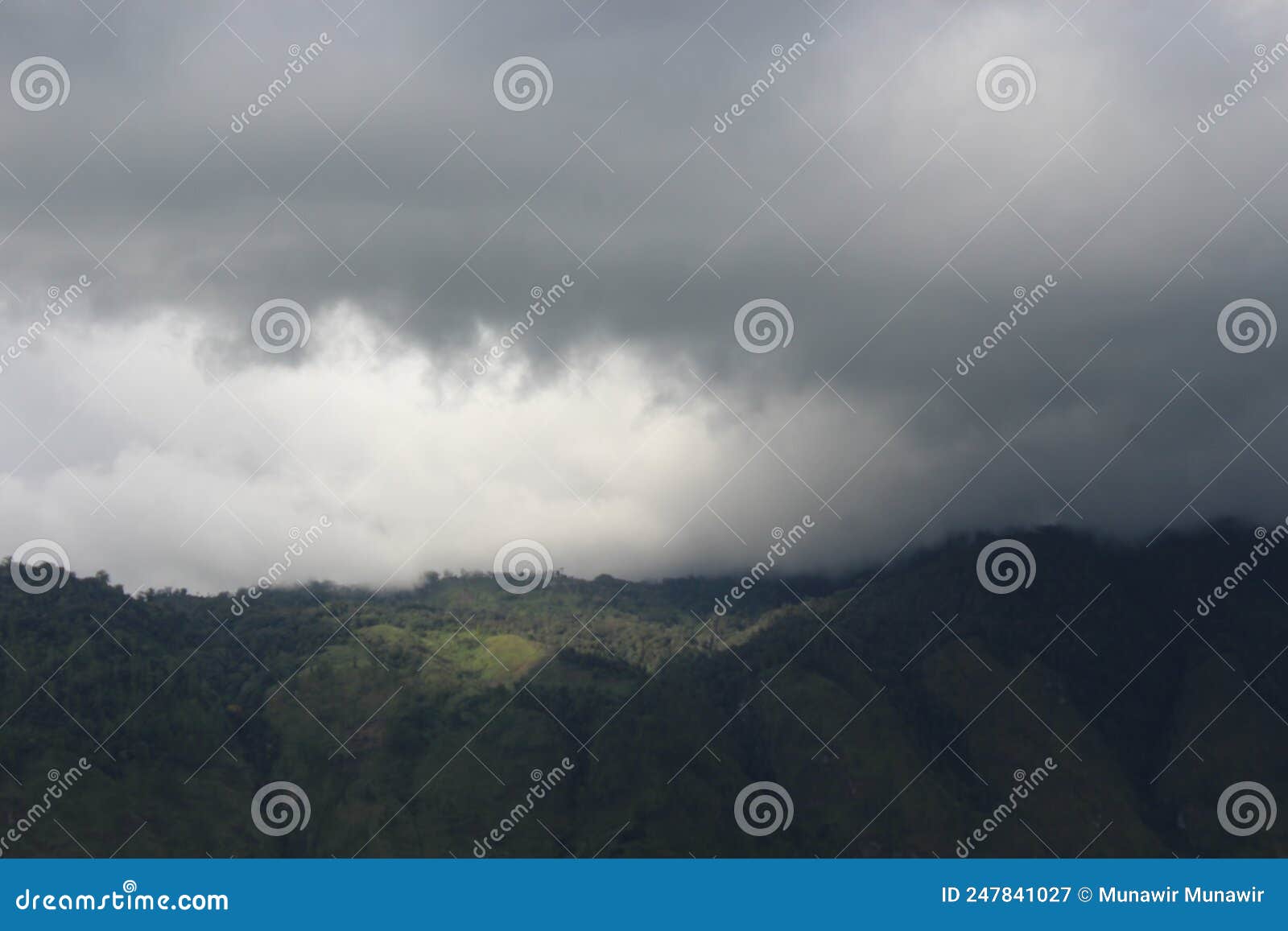 Dense Forest in the Mountains Stock Image - Image of travel, hill ...