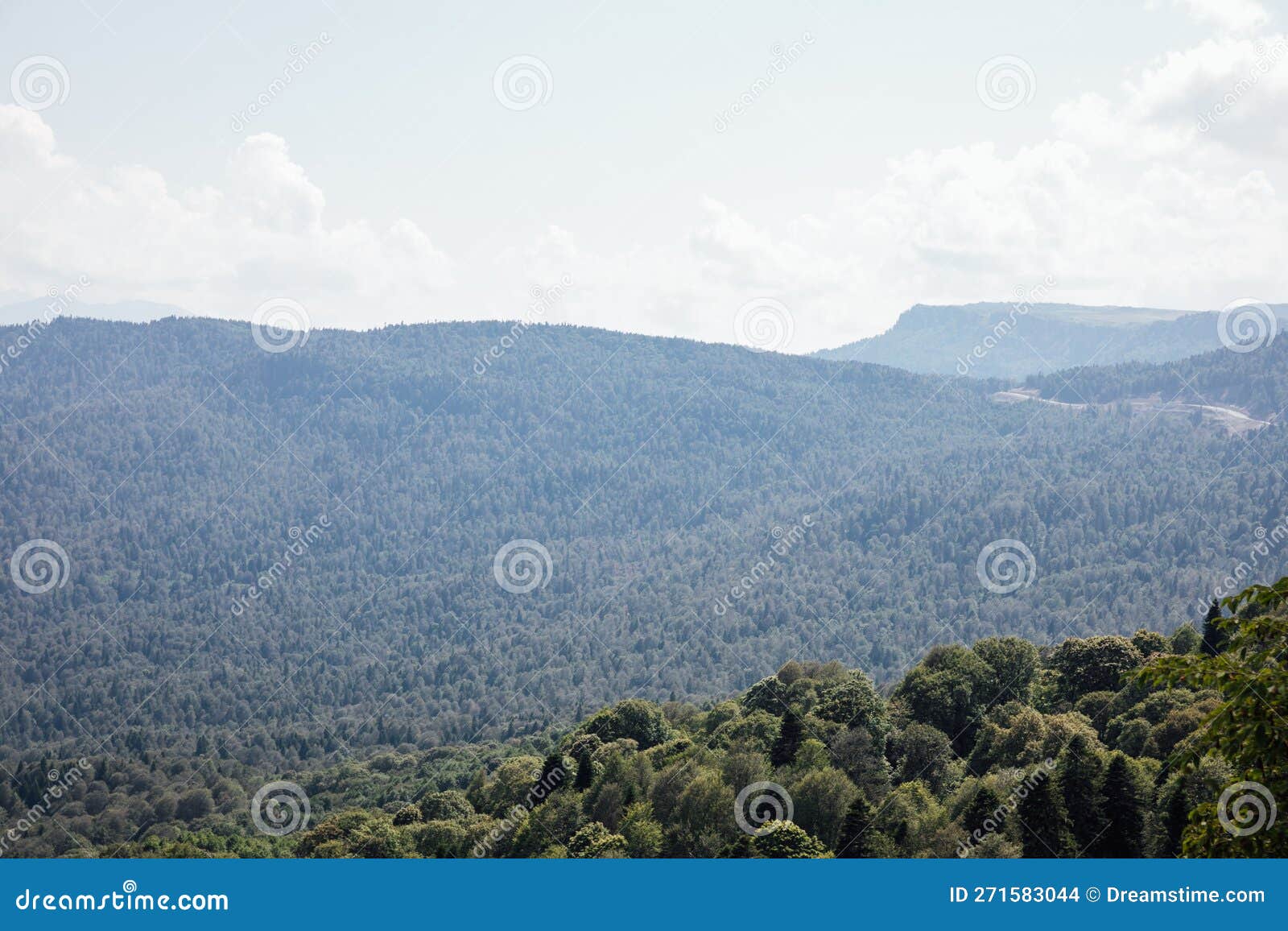 Dense Forest on the Mountains Nature Sky Journey View from Above Stock ...