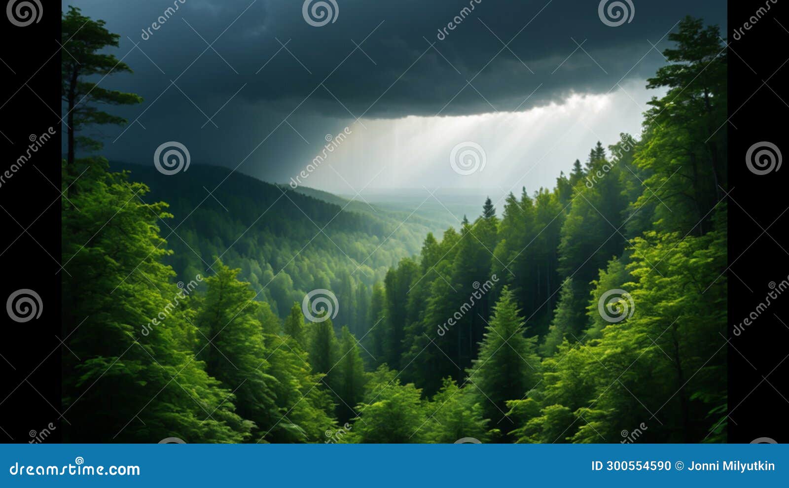 Dense Forest Under a Summer Downpour Rays of Sun Piercing through ...